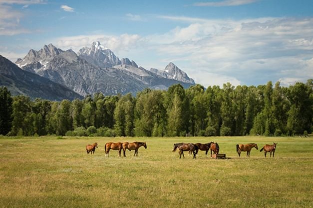 Guide for Visiting Colorado's Front Range